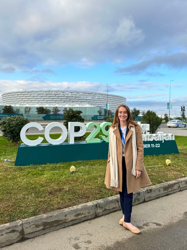 Hope in The Discussions: Reflections on Global Coordination at the ...