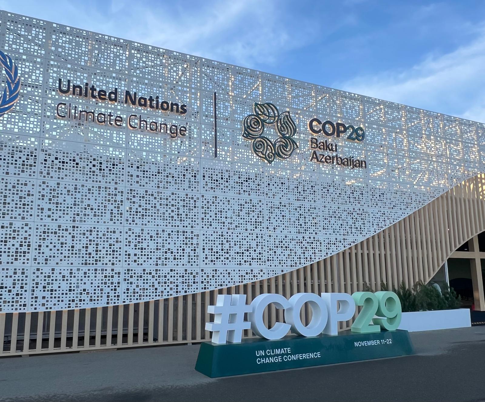 Navigating the Complexity of Climate Negotiations at COP29 – Climate Blue